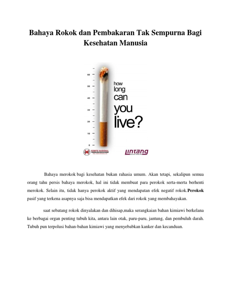 Bahaya Rokok Dan Pembakaran Tak Sempurna Bagi Kesehatan Manusia | PDF