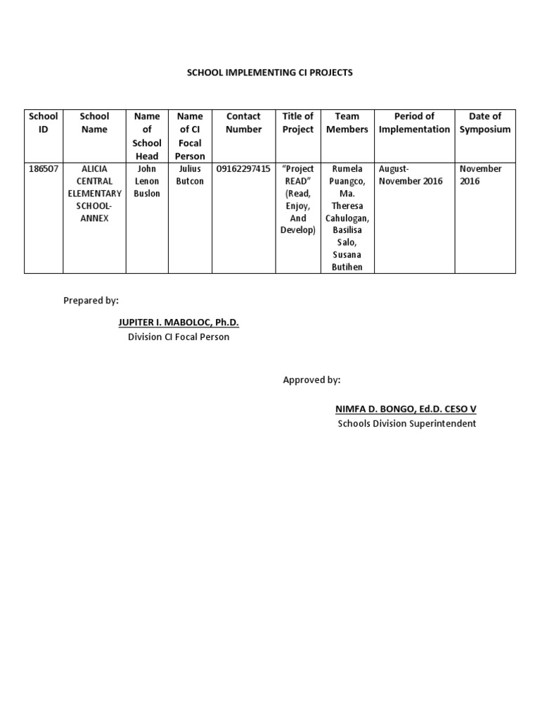 School CI Project Implementation Overview | PDF