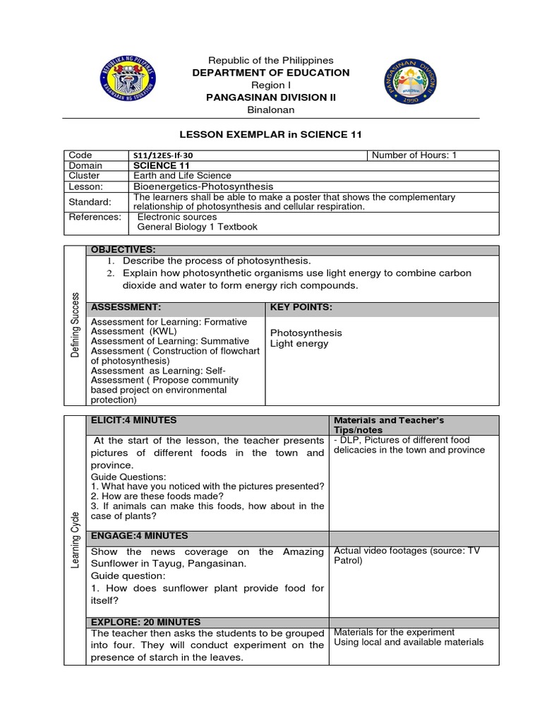 7 E Model Photosynthesis | PDF | Photosynthesis | Learning