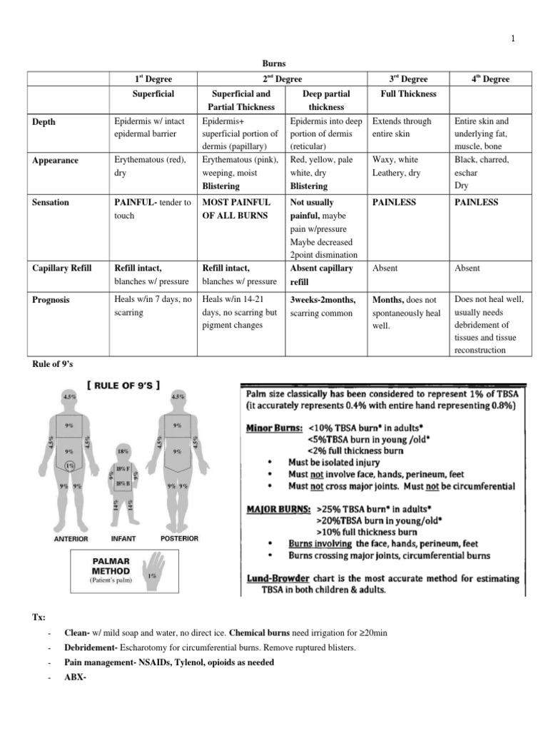 A Comprehensive Guide to Common Dermatological Conditions: Diagnosis ...