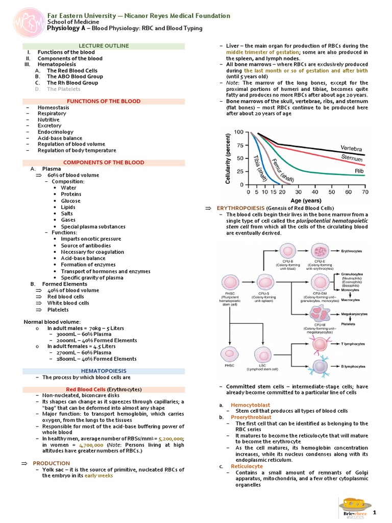 RBC Physiology and Blood Typing | PDF | Red Blood Cell | Anemia