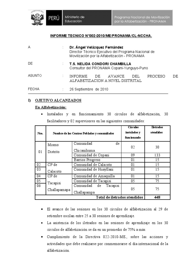 Modelo de Informe Tecnico 02 | PDF | Maestros | Agitación