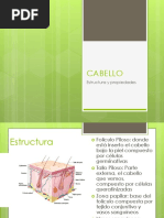 Composición Química Del Cabello | PDF | Sistema tegumentario | Bioquímica