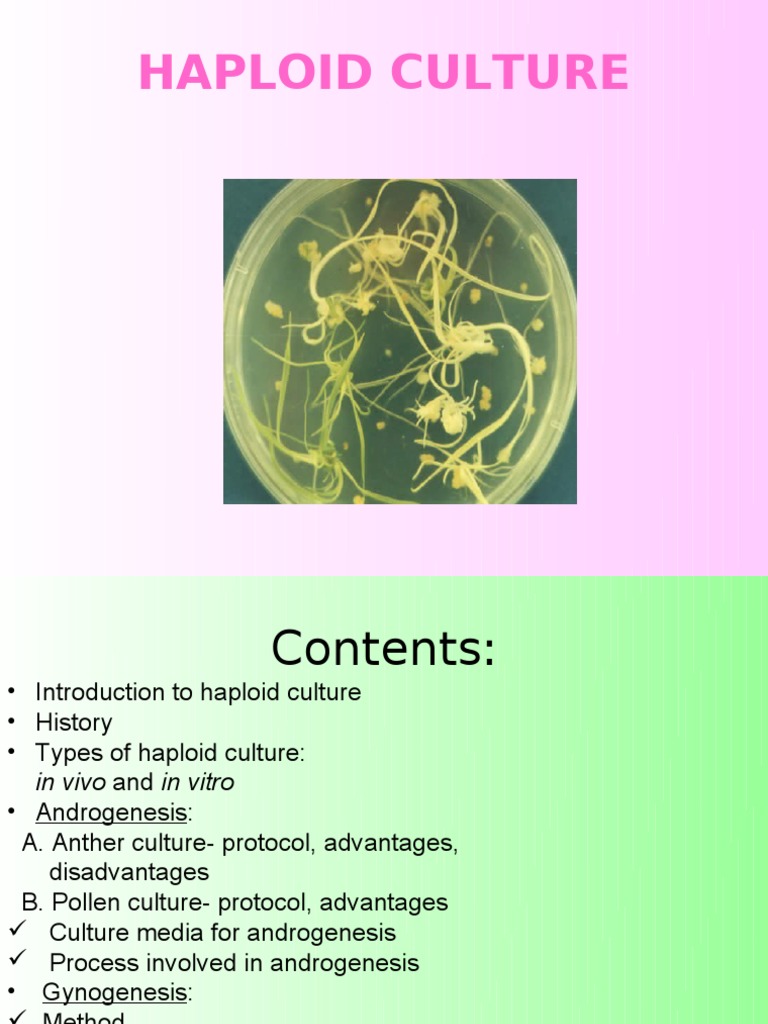 Haploid Culture PDF | PDF | Ploidy | Pollen