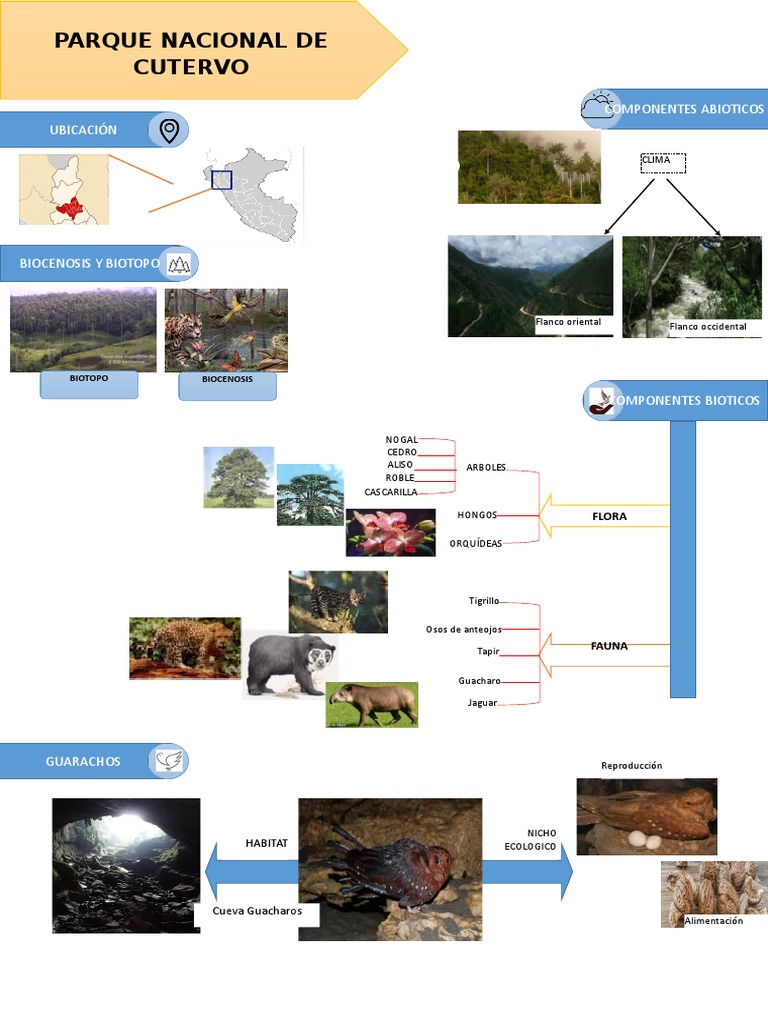 Infografia - Parque Nacional Cutervo | PDF