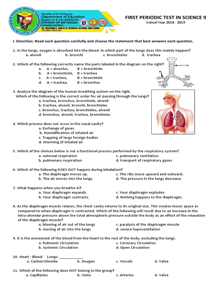 First Quarterly Examination in Science 9 | PDF | Lung | Circulatory System