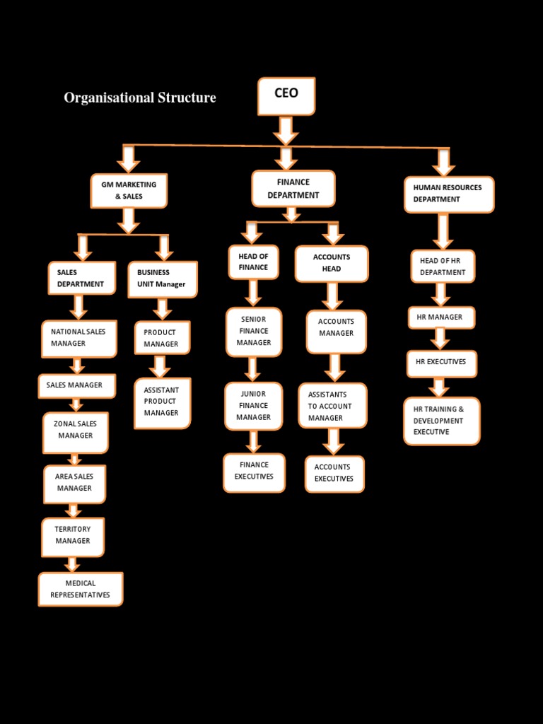Organizational Structure of Ipram Pharamceuticals | PDF