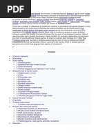 Buroinjin | PDF | Competitive Games | Hobbies