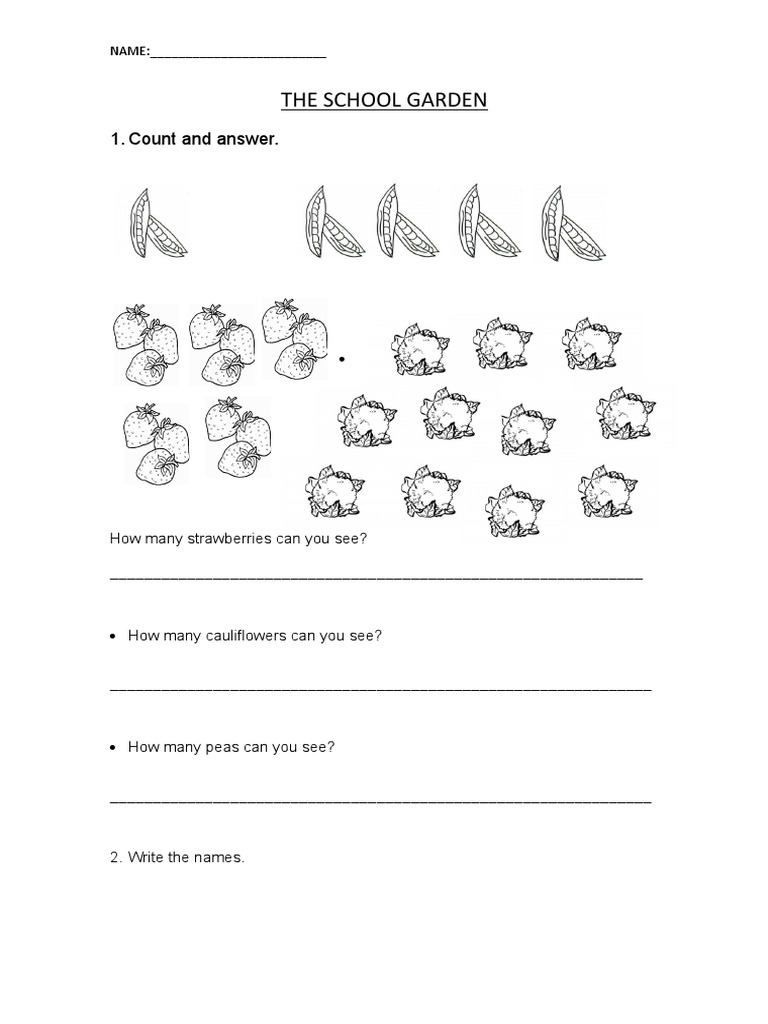 School Garden Counting Activity | PDF