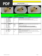 A Brief History of Cooking | PDF | Cookbooks | Baking