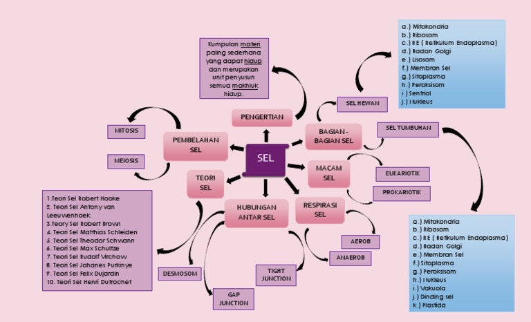 Mind Map Sel PDF | PDF