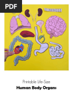 Life Size Printable Human Body Organs | PDF | Self-Improvement