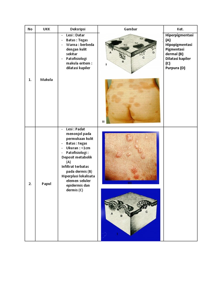 Lesi Kulit: Makula dan Papul | PDF
