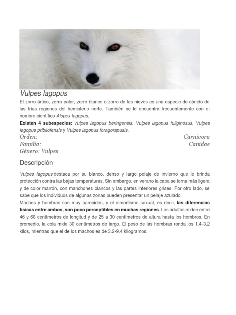 Zorro Albino | PDF | Organismos | Naturaleza