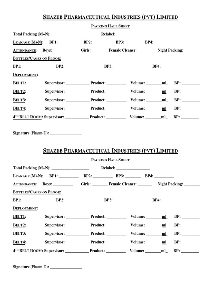 Daily Report Sheet | PDF