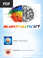 PlacementTest a Instructions | PDF | Vocabulary | Question