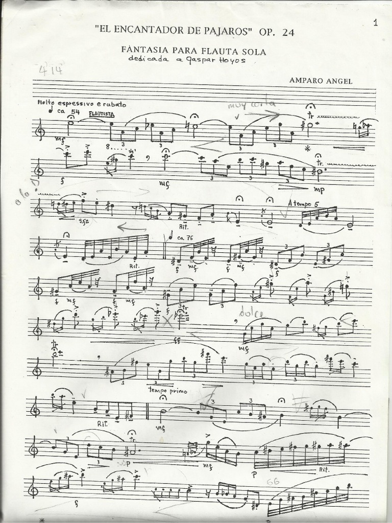 Angel Amparo Encantador Pajaros | PDF