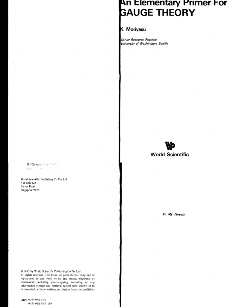Elementary Primer For Gauge Theory | PDF