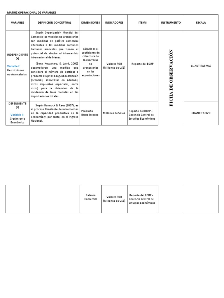 Matriz Operacional de Variables | PDF | Arancel | Barreras no ...
