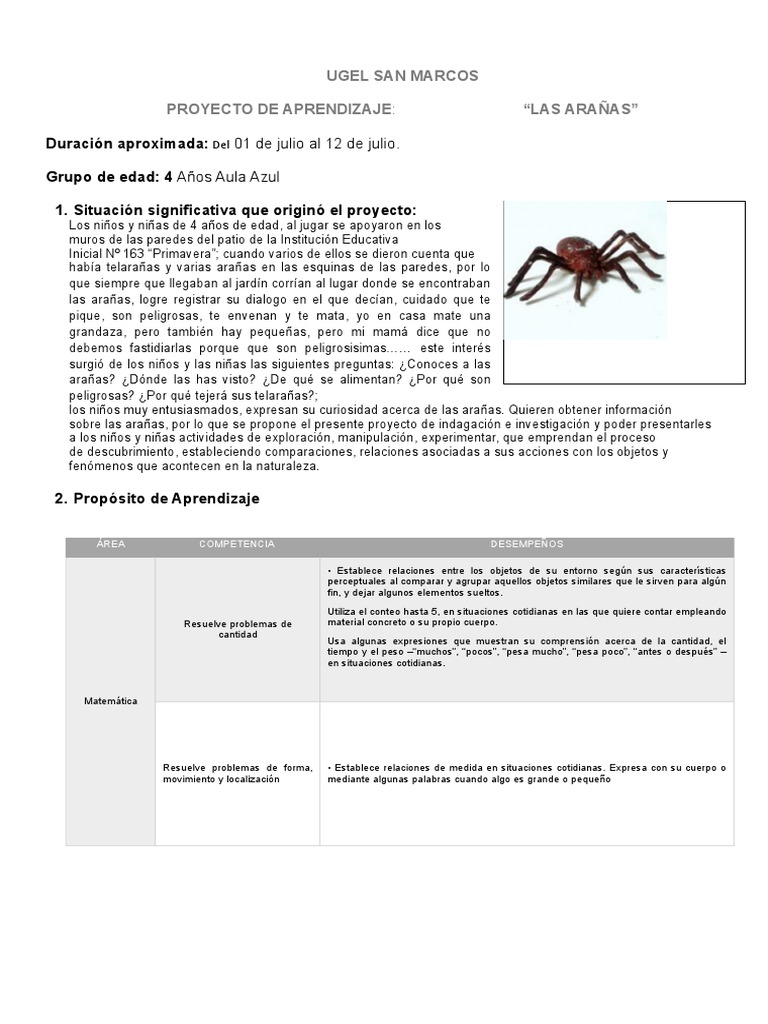 Proyecto de Aprendizaje: Las Arañas | PDF | Science | Información