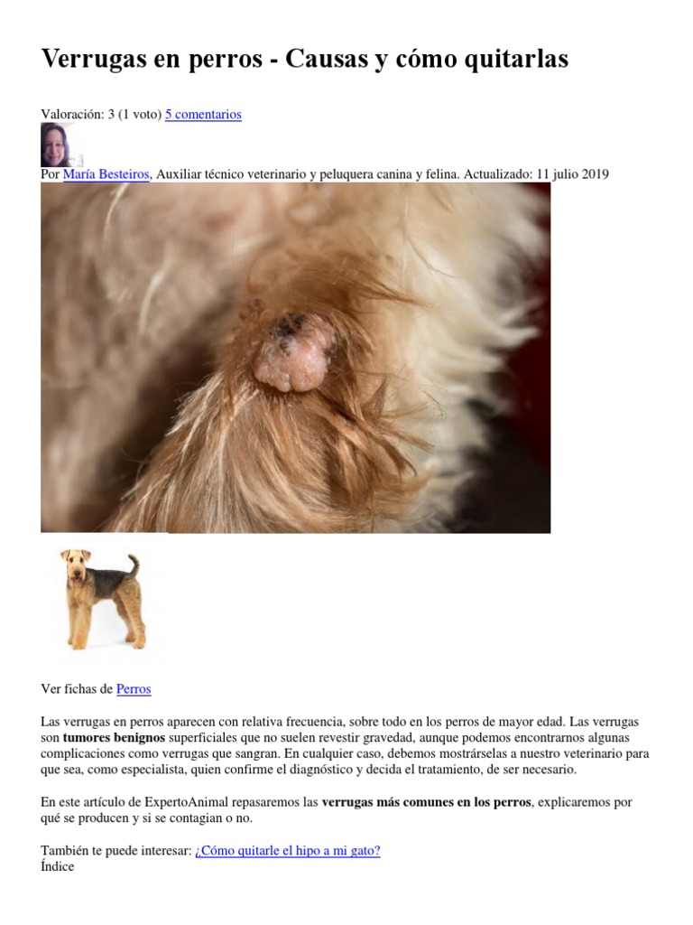 Verrugas en Perros | PDF | Cáncer | Perros