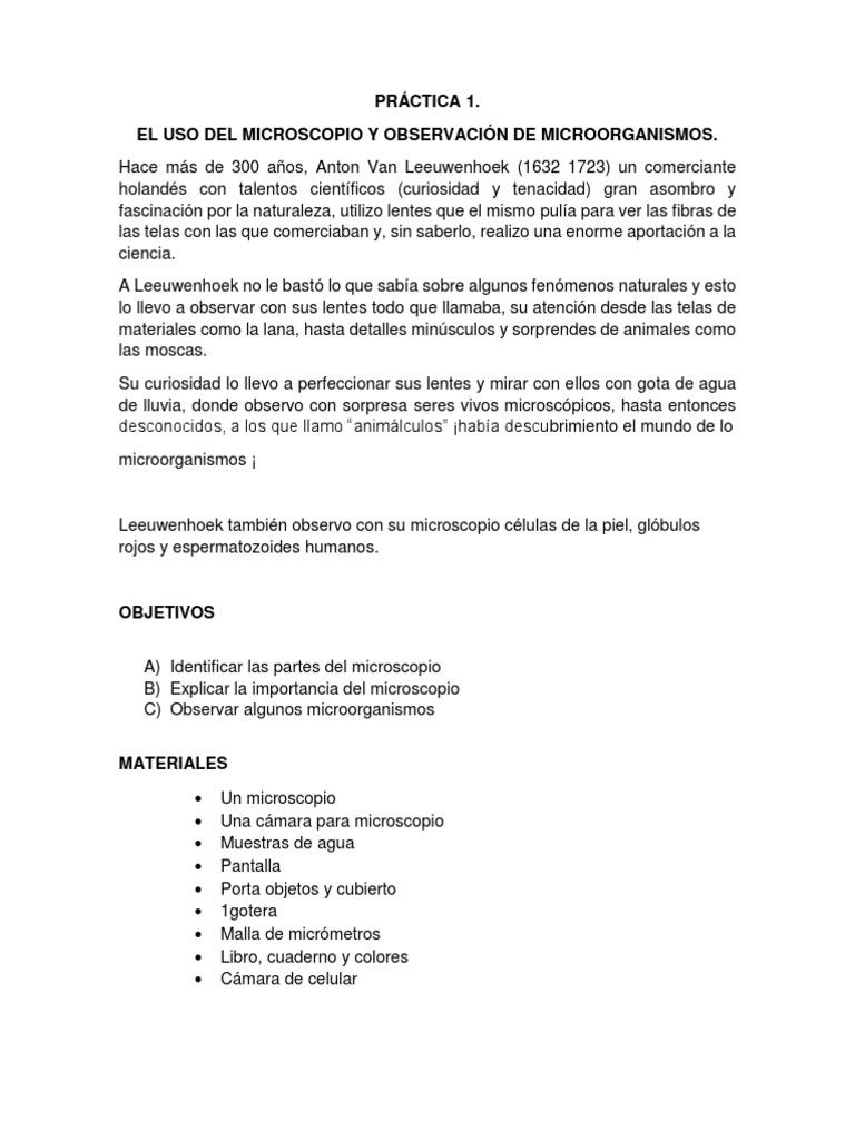 Reporte De Práctica 1 Secundaria El Microscopio Pdf Microscopio