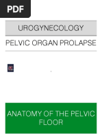 Anatomy of The Cervix, Squamocolumnar Junction, Metaplastic Change and ...