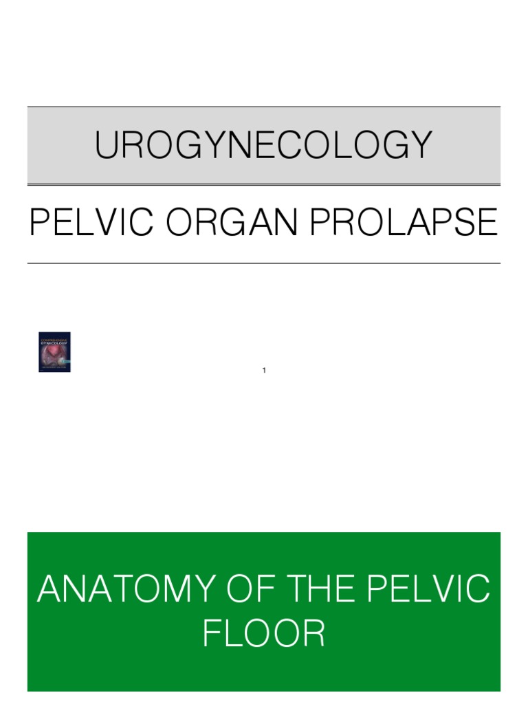 Pop, Rev | PDF | Urinary Incontinence | Pelvis