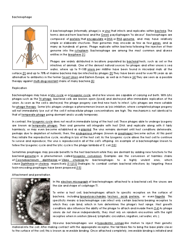 Bacteriophage Definition Parts and Function | PDF | Bacteriophage ...
