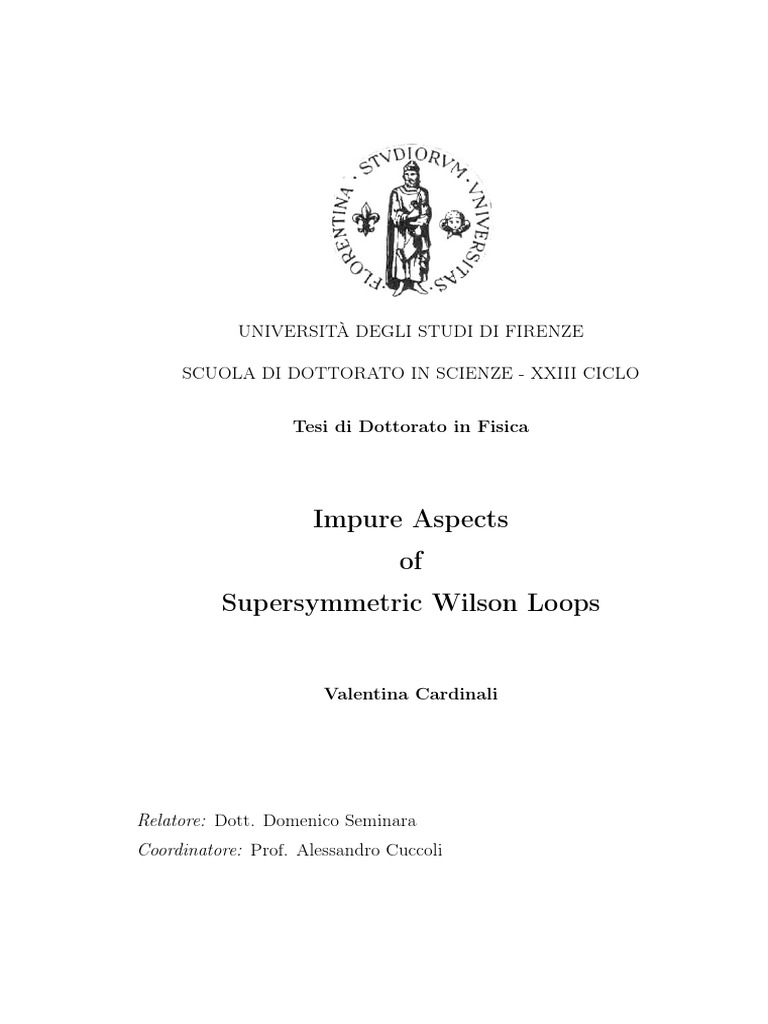 Supersymmetric Wilson Loops Analysis | PDF | String Theory | Quantum Chromodynamics