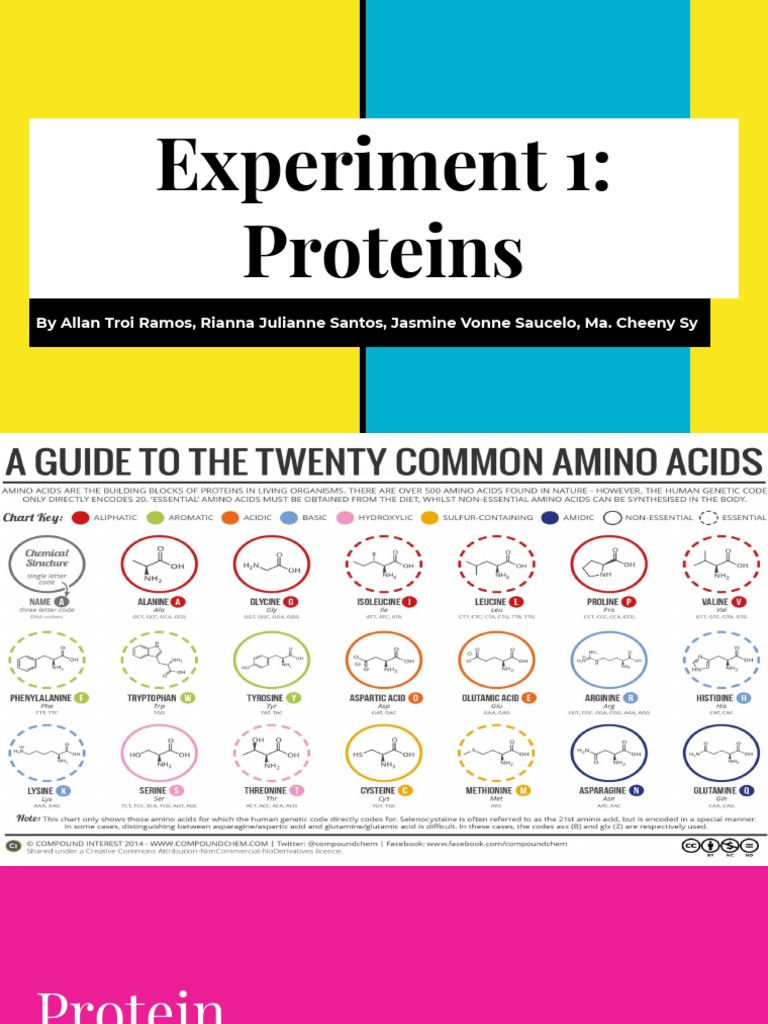 Biochemistry Lab Con Proteins | PDF | Salt (Chemistry) | Denaturation ...