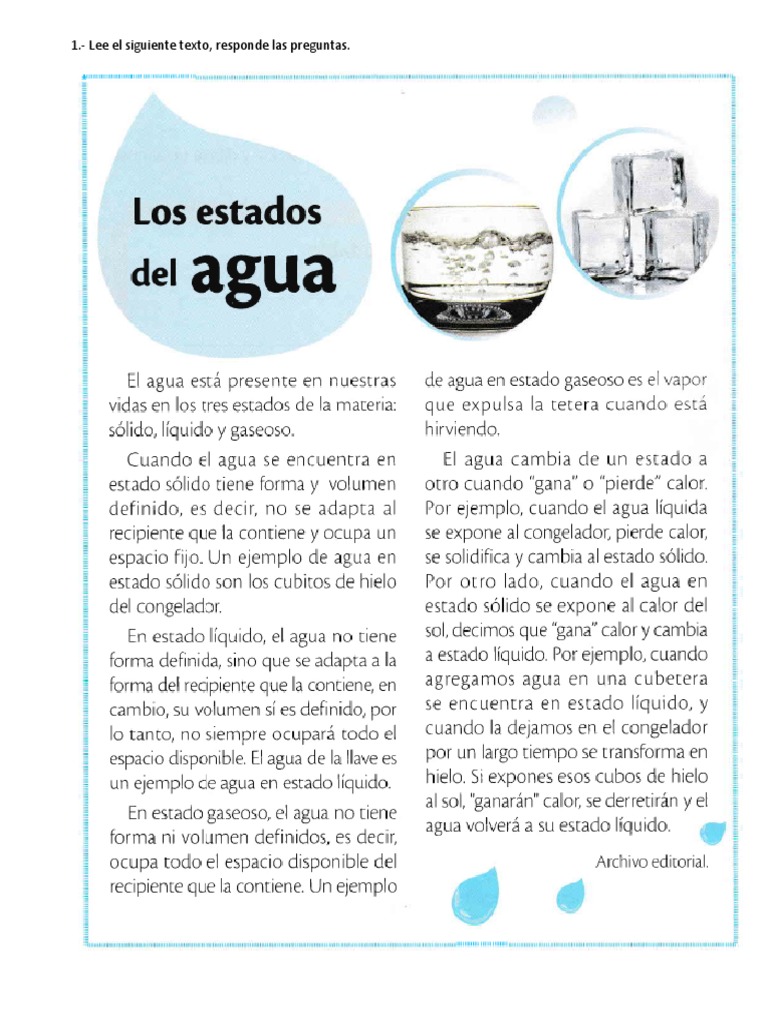 Texto Informativo sobre el Agua para Niños | PDF