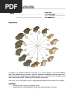 14 Answer Key Beaks of Finches Lab | PDF | Adaptation | Natural Selection