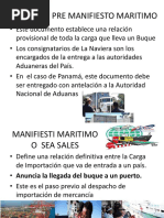 Manifiesto Maritimo Electronico Aduana | PDF | Servidor web | Internet y web