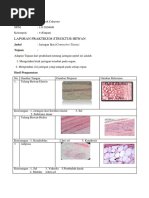 Laporan Praktikum Histologi Jaringan Dasar, Jaringan Epitel Dan Jaringan Ikat | PDF | Sains ...