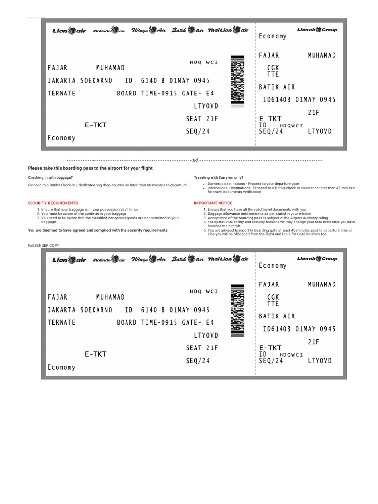 Baggage Check-In and Security Guide | PDF