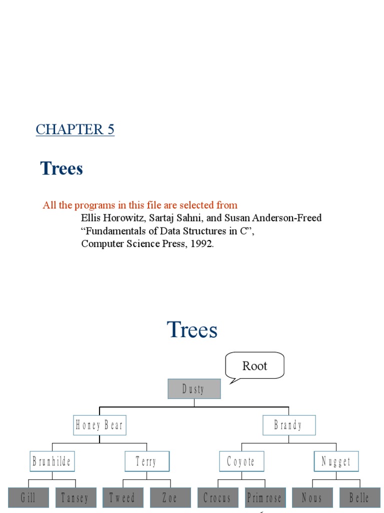 Trees: All The Programs in This File Are Selected From | PDF | Information Retrieval ...