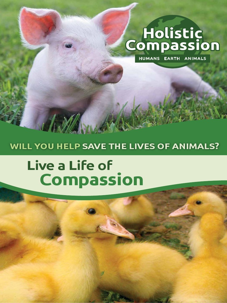 Holistic Compassion For Vegan Ambassadors | PDF | Veganism | Meat