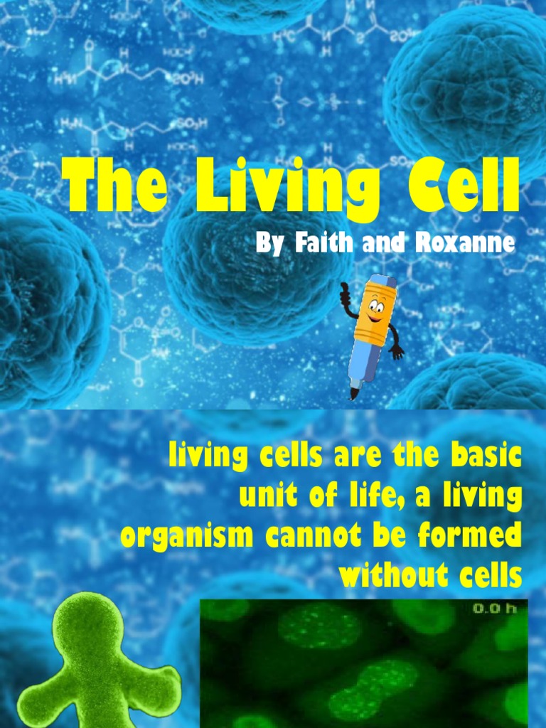 The Living Cell: by Faith and Roxanne | PDF | Cell (Biology) | Eukaryotes