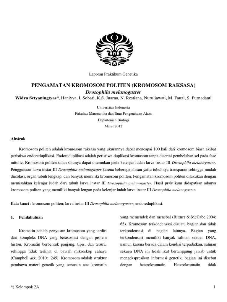 Pengamatan Kromosom Politen Kromosom Raksasa Drosophila Melanogaster | PDF