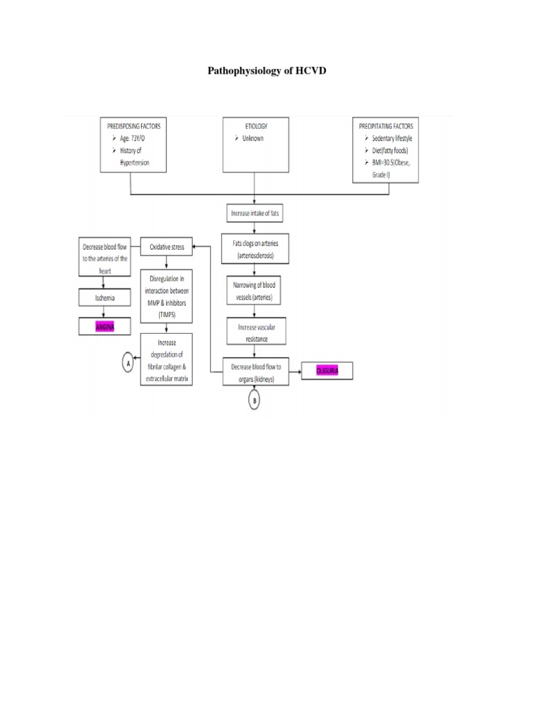 Pathophysiology of HCVD | PDF | Hypertension | Coronary Artery Disease