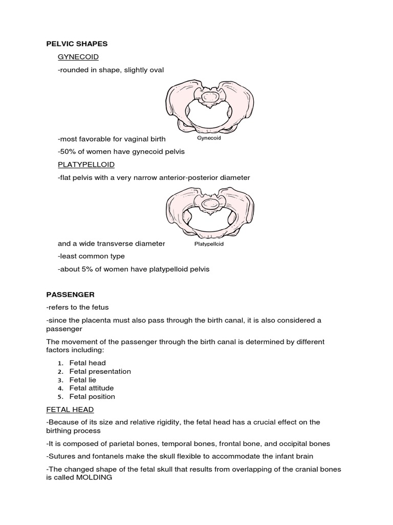DR Report | PDF | Pelvis | Musculoskeletal System