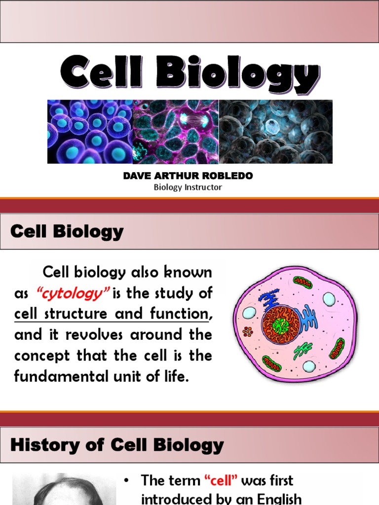 Cell Biology: The Building Blocks of Life | PDF | Cell Nucleus | Cell ...
