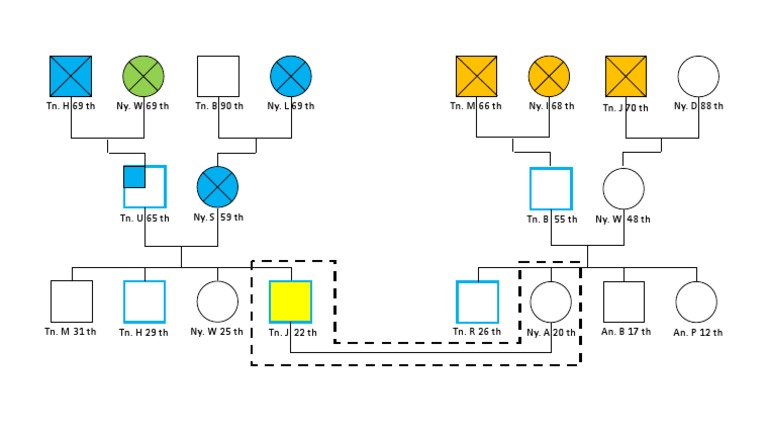 Genogram Presentasi Kesehatan Kerja | PDF