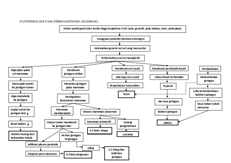 Klinical Patway Fam | PDF
