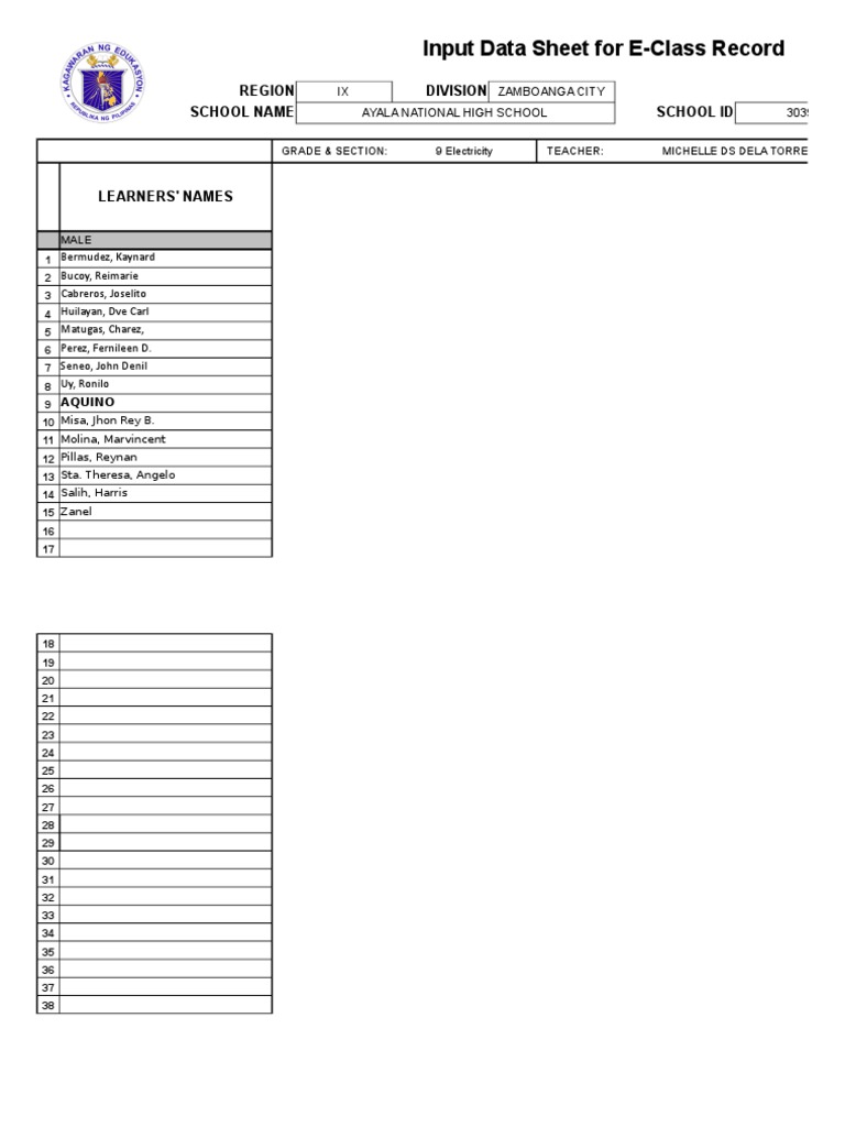 E-Class Record Data Sheet | PDF