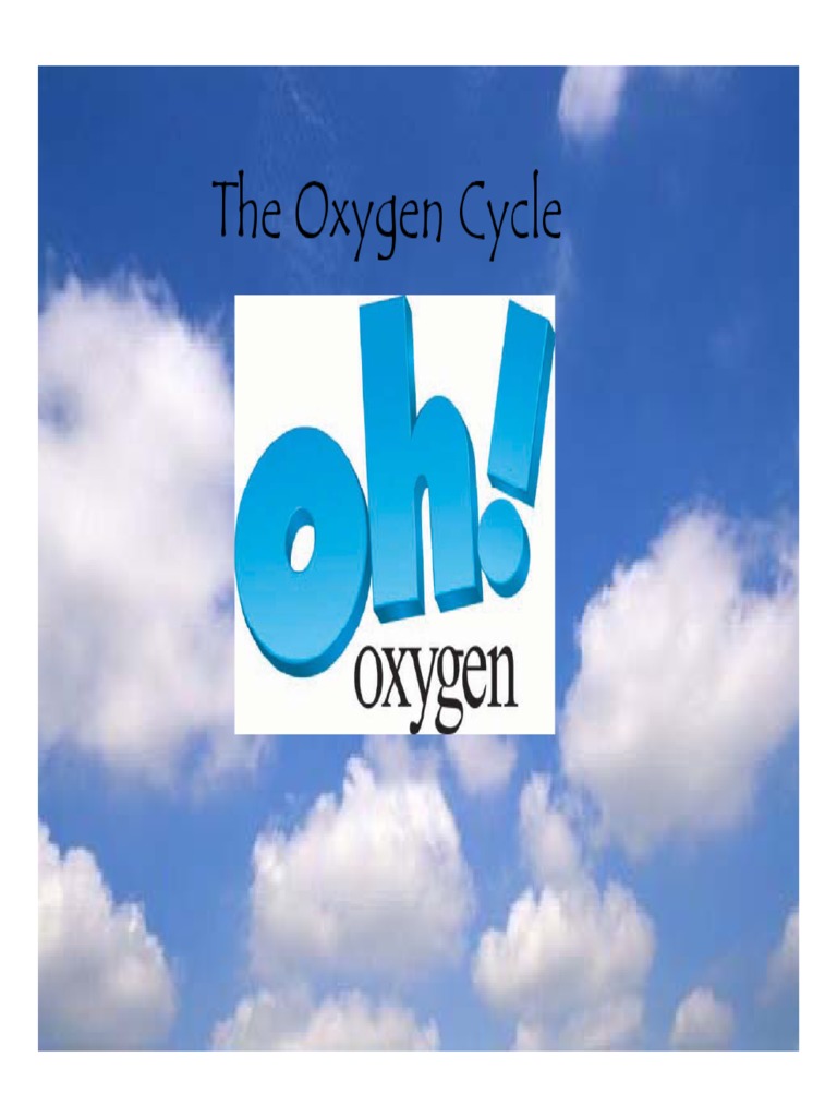 Oxygen Cycle PPT Slides PDF | Download Free PDF | Oxygen | Hydrogen