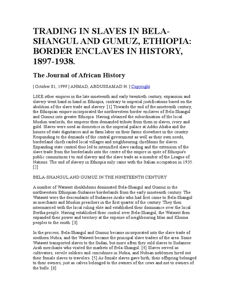 Slavery and Slave Trading in the Ethiopian Borderlands: Intensification ...