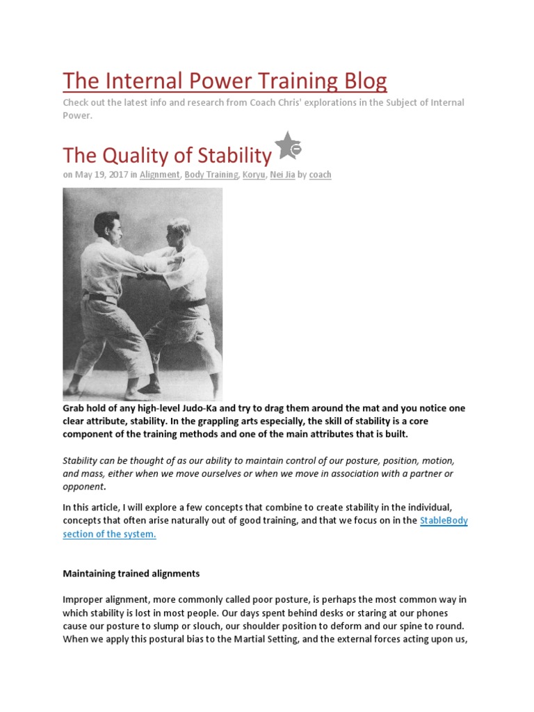 The Importance of Stability in Martial Arts and How to Develop a Stable ...