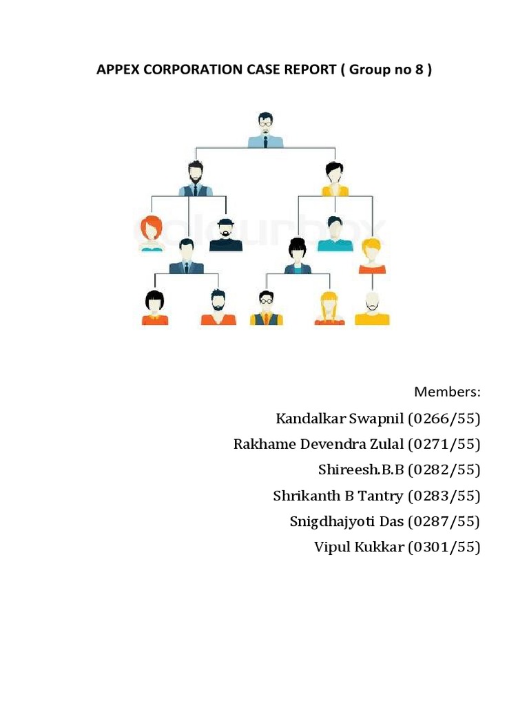 Appex Corporation Case Report (Group No 8) | PDF | Organizational Structure | Business